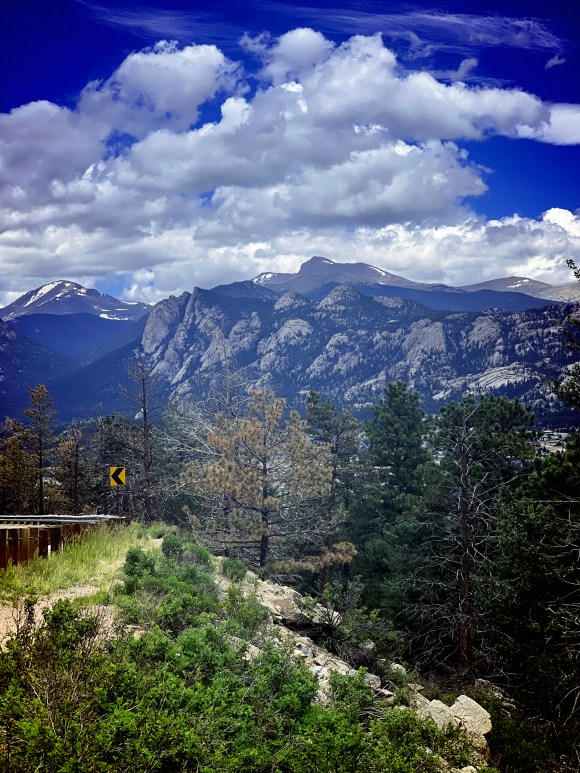 Backwards Trajectory – Never Move Forward