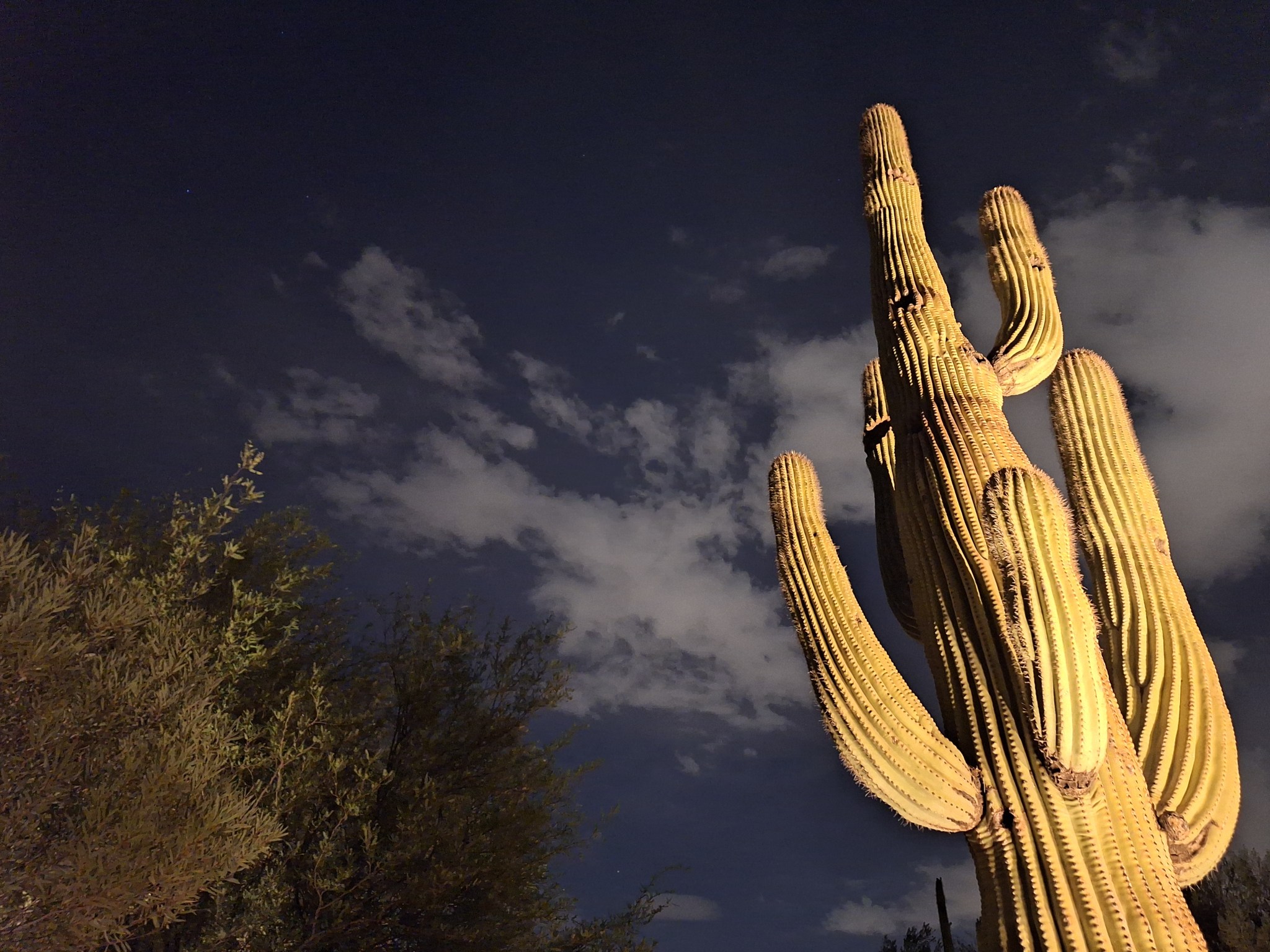 Backwards Trajectory – Never Move Forward