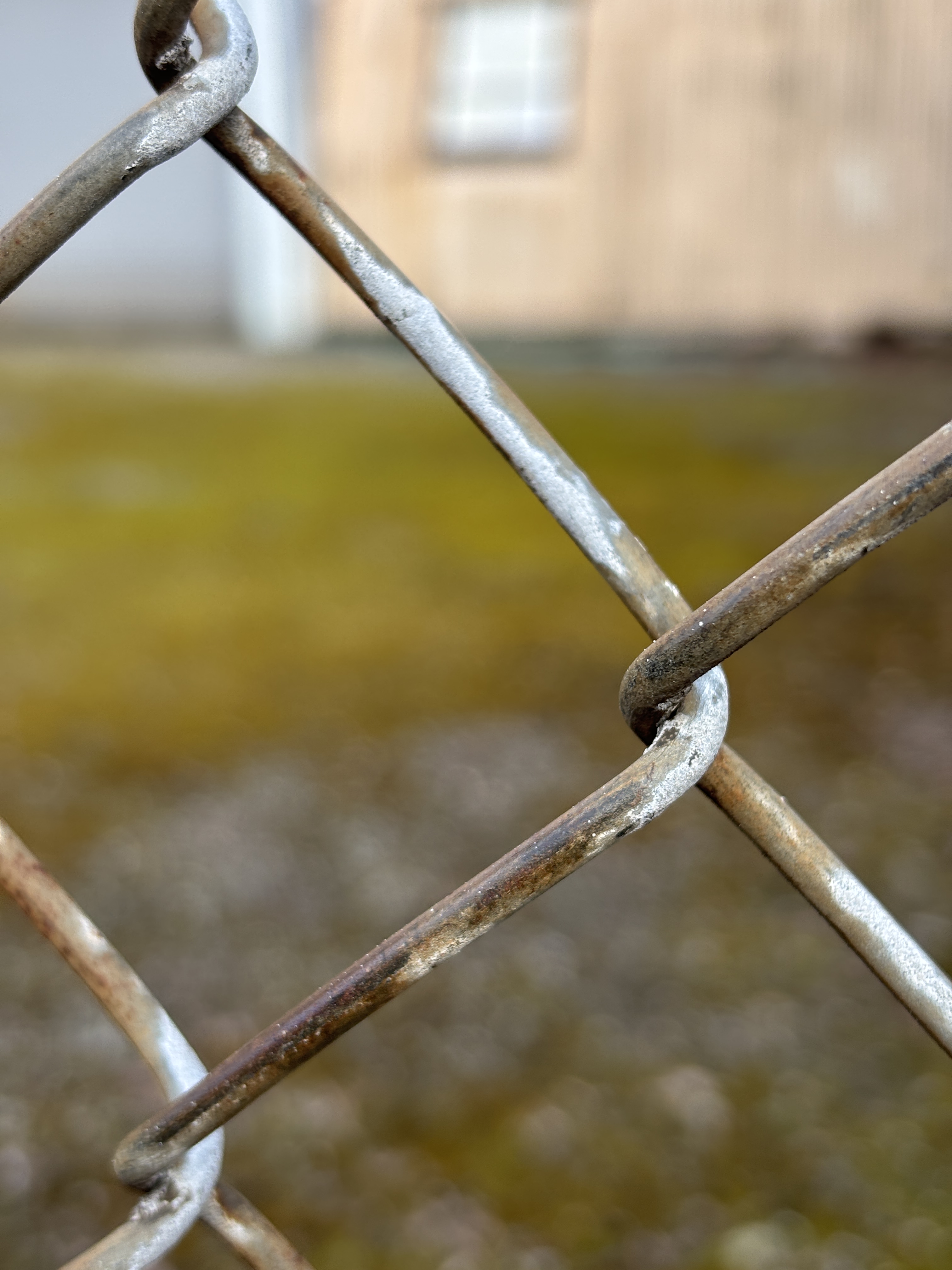 You Won’t Believe This – Backwards Trajectory